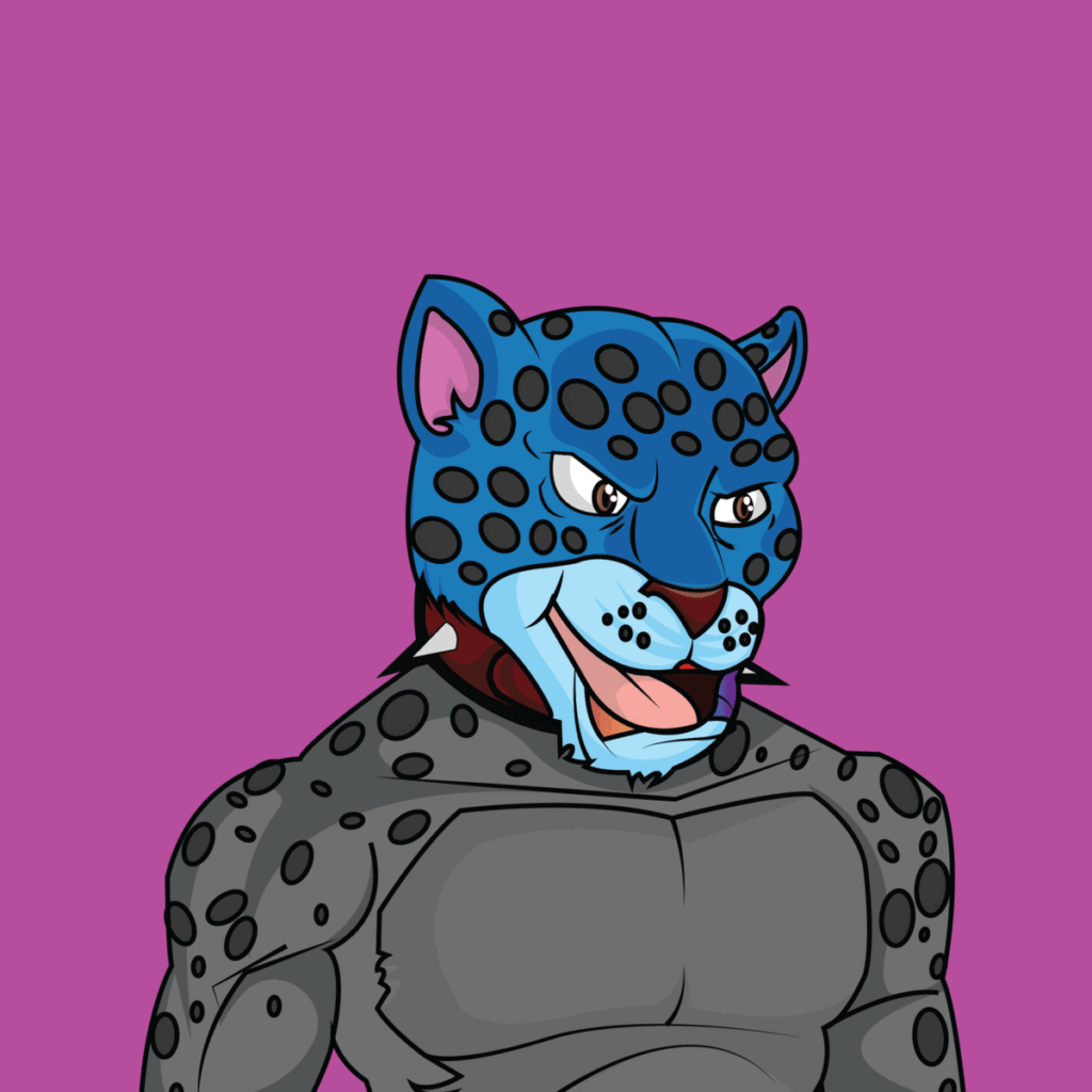 Premade NFT Collection