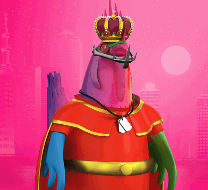 Turtle - Premade NFT Collection